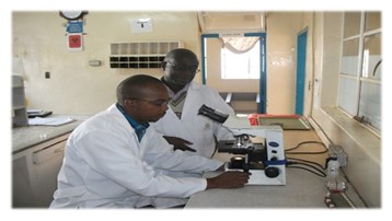 Colleges and Universities Offering Diploma in Biomedical Laboratory ...