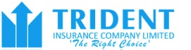 Trident Insurance Company Ltd- Location, Products, Services, Branches ...